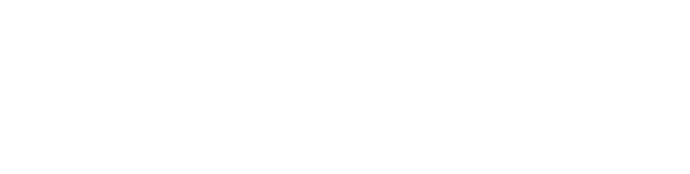 Expert Security Services in North Queensland | Lone Wolf Security